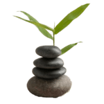 Infinity IV & Wellness - Elevate Your Health in Gold Coast